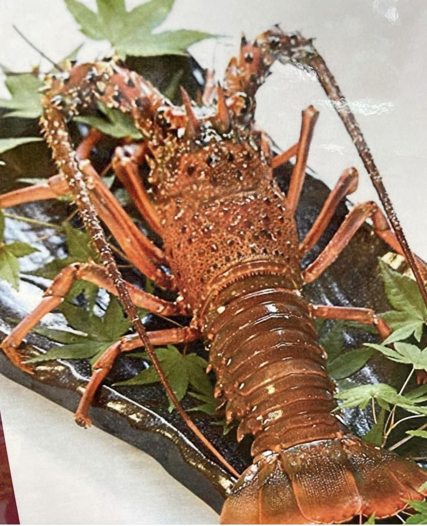 伊勢海老解禁！！！ – 宮崎市青島観光イベント情報のことなら青島ナビ！